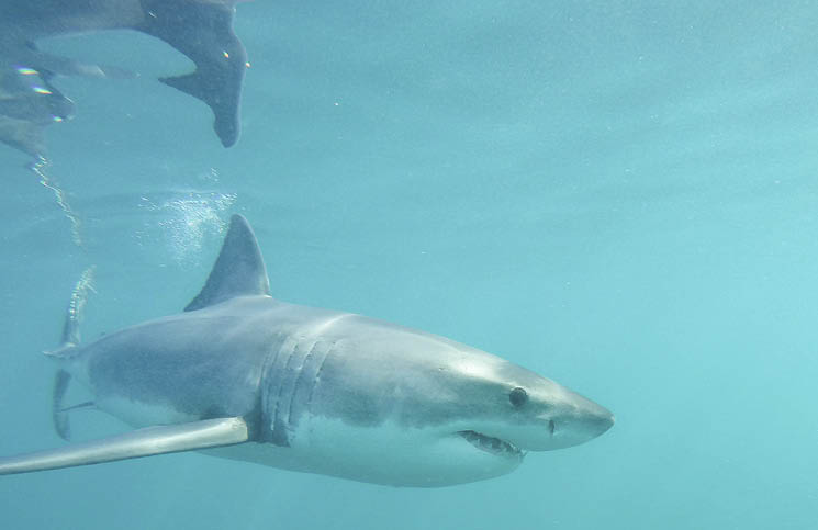 The 6th Southern Africanc& Ray Symposium