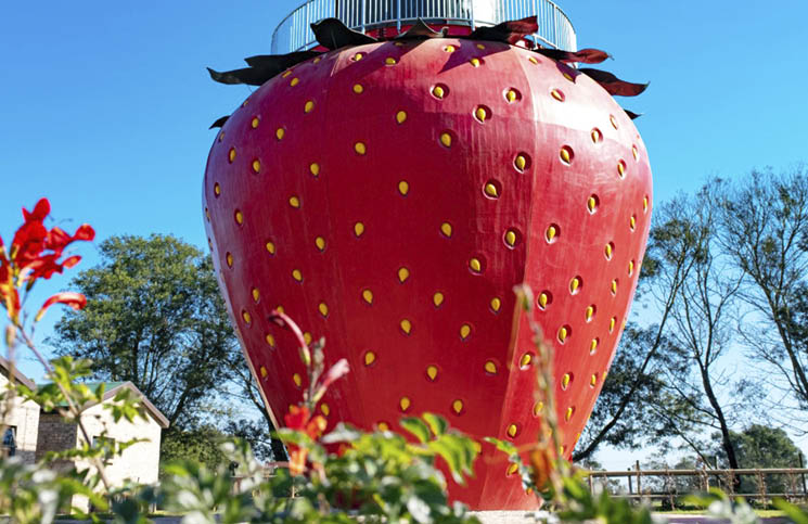Have you seen the new landmark in George?