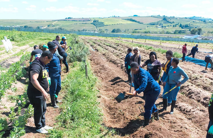 Woolies employees take action to improve food security for all
