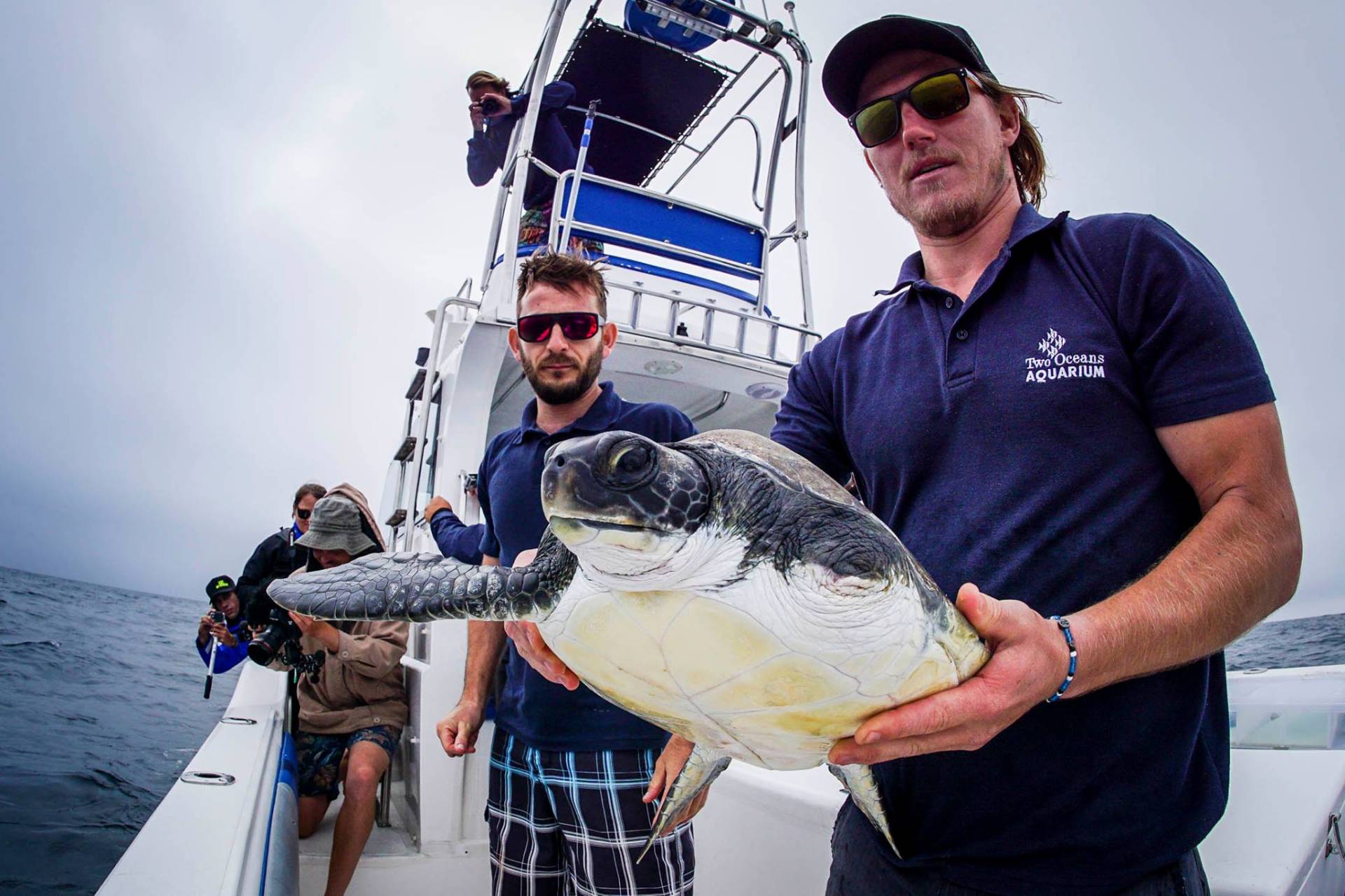 Two Oceans Aquarium Unveils Turtle Conservation Centre Set for 2026 Opening