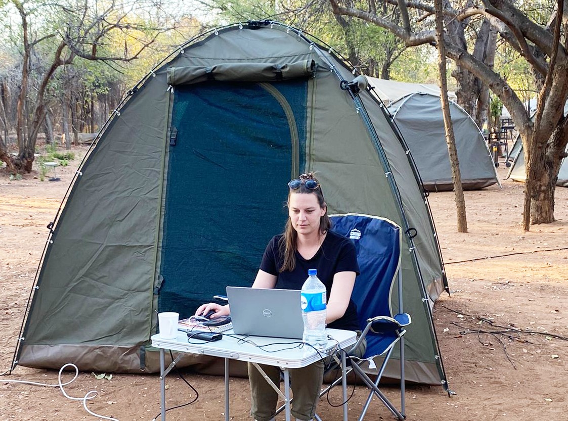 Lion Survey unlocks key conservation insights | The Newspaper