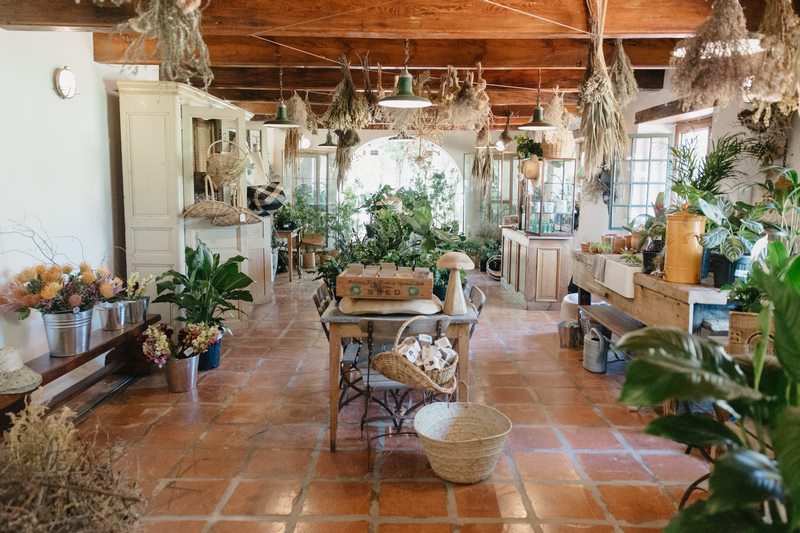 Experience Regeneration Firsthand at Spier’s Soil Room
