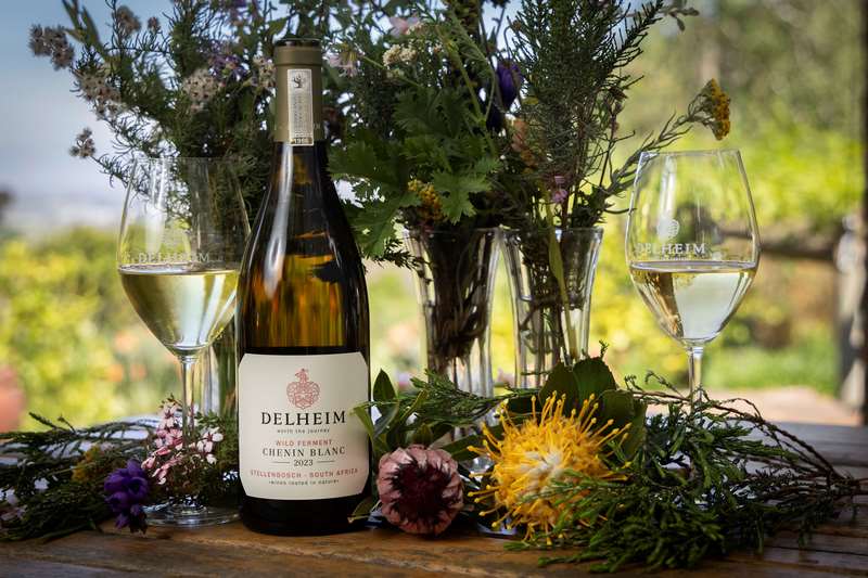 Delheim's Fynbos Vineyard Project: Merging Conservation with Wine Tourism