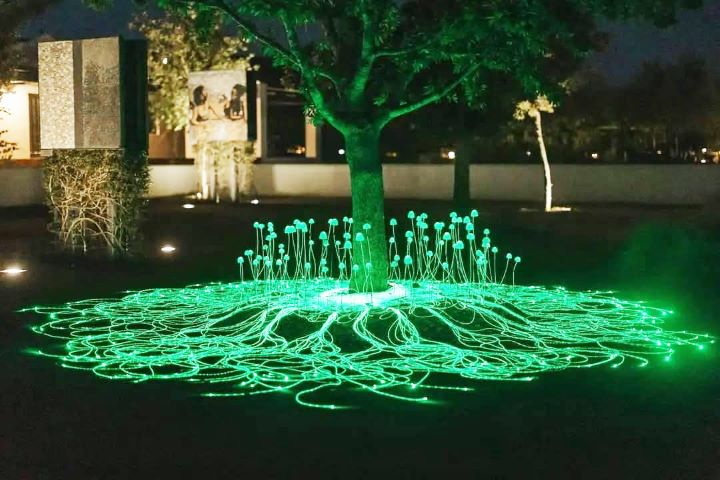 Spier Wine Farm | The Newspaper