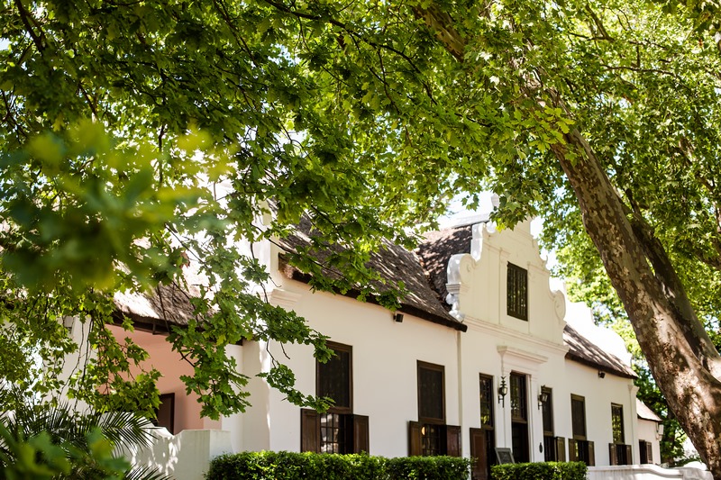 Nederburg Reclaims Centre Stage with Cape Wine Auction Partnership