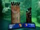 Two Oceans Aquarium Films Make Waves with International Awards | The ...